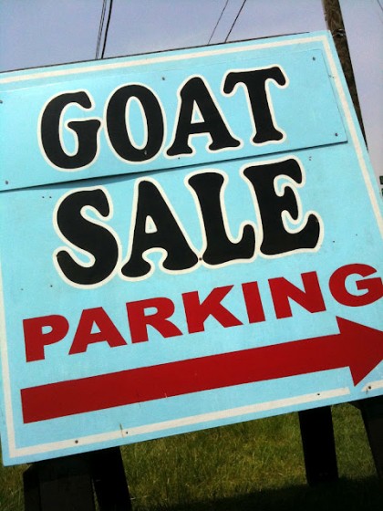 Goat Sale • John Parris